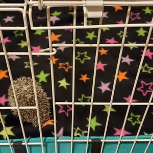 South Park Craig Hat | Etsy