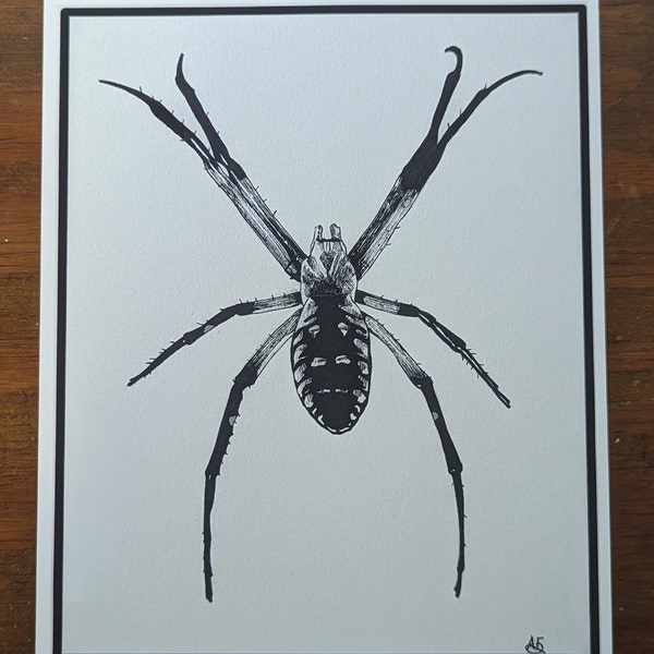 Foam Board, Paper Foam Board, Foam Paper, Board Paper, Foam Paper Board ...