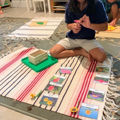 Fruit and Vegetables Safari Toob Montessori 3-part Cards for - Etsy