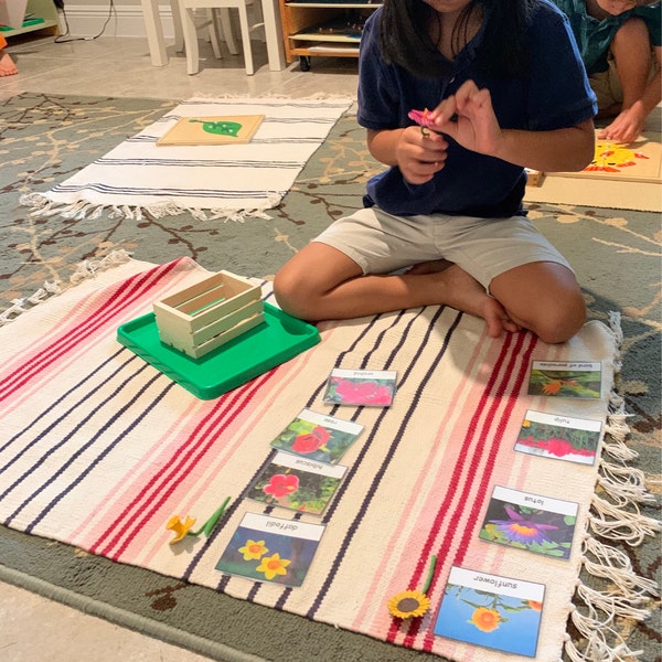 Montessori Colors Sorting Activity--primary and Secondary Colors--color ...