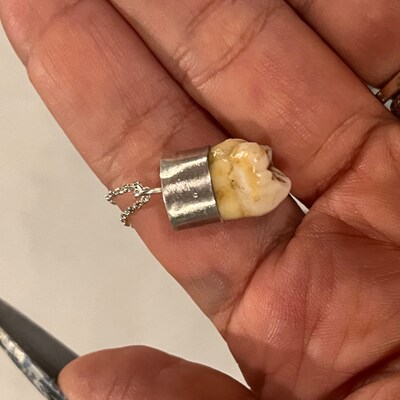 Custom Puppy/ Kitten Tooth Necklace // Pet Memorial Necklace // Dog ...