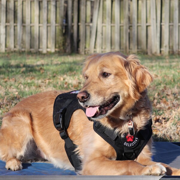 Socially Selective Embroidered Dog Patch | 3-inch Round Patch | Patch ...