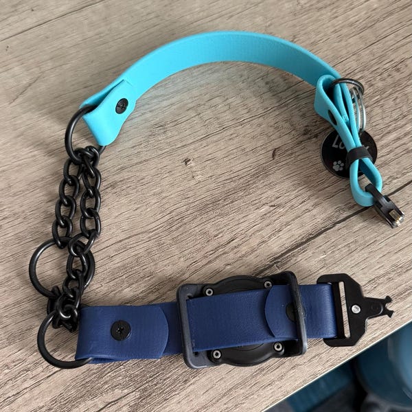 Baddie Pet Bandana - Etsy