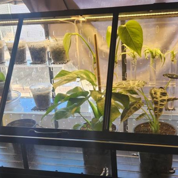 AKERBAR Desktop Greenhouse (25in) Pegboards and SKADIS Accessories for ...