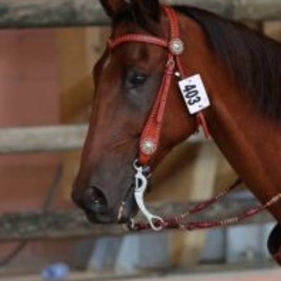 Handmade Bosal Set, 40 Plaits Rawhide Natural Bosal Set, Bosal Set ...