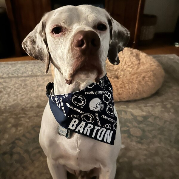 Penn State Dog Bandana: Personalized PSU Design - Etsy