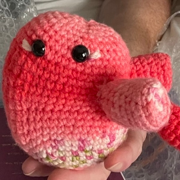 Anatomical Kidney Crochet Pattern! PATTERN ONLY Instant DOWNLOAD ...