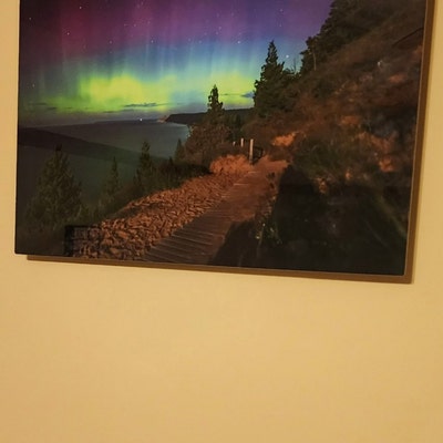 Scenic Drive Under the Northern Lights / Northern Lights / Tree / Duck ...