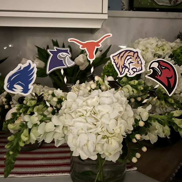 Custom College Pennant Flags | Centerpiece Pennant Flag | College Flag ...