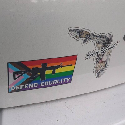 Defend Equality Trans Flag and Rifle Hard Enamel Pin - Etsy