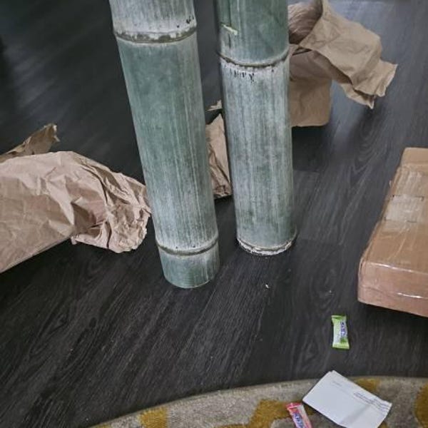 2" Green Bamboo 2pk Fresh Cut 100% Natural Grown Bamboo in USA Bamboo ...