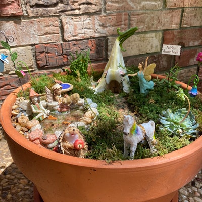 Fairy Garden Fish Pond W Cat Miniature Koi Pond for Fairies Miniature ...