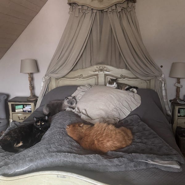 Double Ruffle Linen Bed Skirt Split Corners Ruffled Panel Dust Ruffle ...