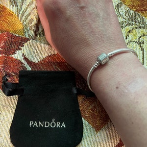 Pandora, Bracelet Charms, Beads, Pendants / New / S925 Sterling Silver ...