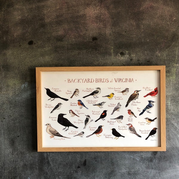 Virginia Backyard Birds Field Guide Art Print / Watercolor Painting ...