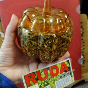 Cathedral Bells Prodigiosa Hierba Te Brickelia Organic Prodijiosa Leaf ...