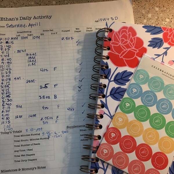 Printable Baby Milestone Chart Tracker | DIY Baby Tracking Log Book ...