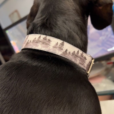 STAIN RESISTANT Forest Trees and Mist Dog Collar With Personalized Name ...