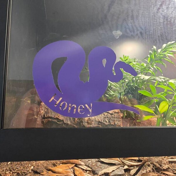 Customizable Name Ball Python Snake Vinyl Decal (READ DESCRIPTION) - Etsy