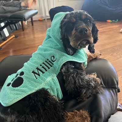 Personalized Dog Robe Embroidered Dog Robe Hooded Robe Towel for Dogs ...