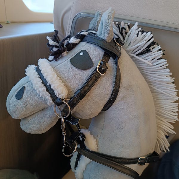 Padded Martingale for Hobby Horse Bridle, Running Martingale With ...