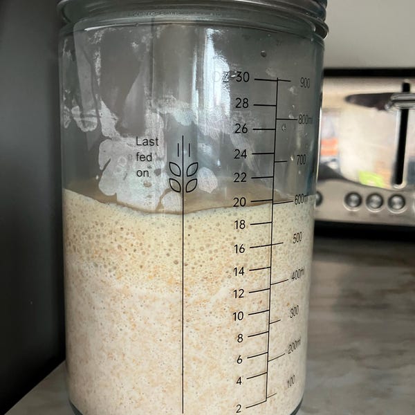 Whole Wheat Sourdough Starter Aurora's Embrace: Willow's Hearth Dried ...