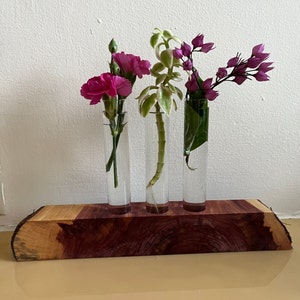 Black Walnut Propagation Set of 3 / Hydroponic Rooting Vases / | Etsy