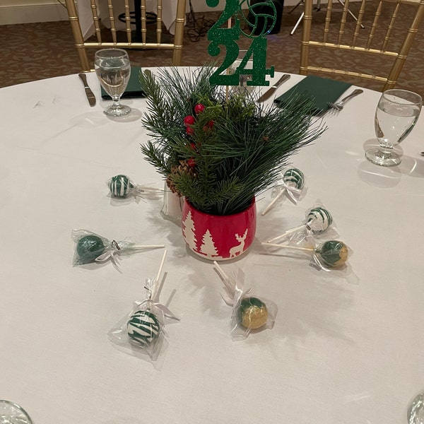 2025 Volleyball Glitter Centerpiece Picks - Class of 2025 Graduation ...