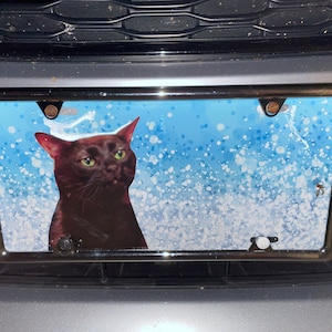 Zoned Out Black Cat Sticker - Etsy