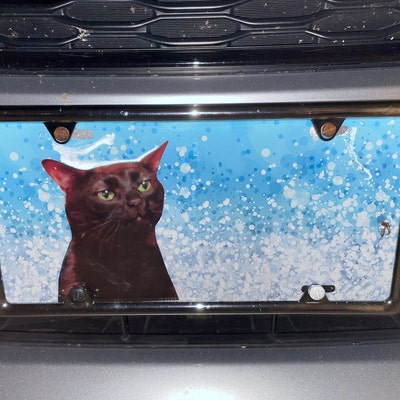 Zoned Out Black Cat Sticker - Etsy