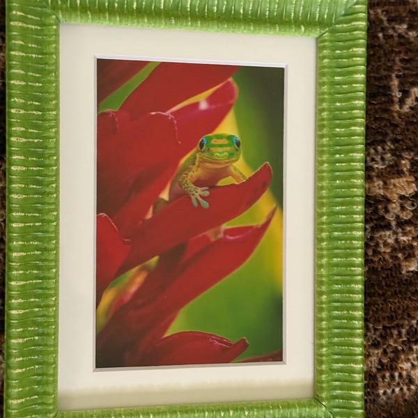 Eclectic Picture Frames Colorful Ridges Funky Decor Vintage Lime Green ...