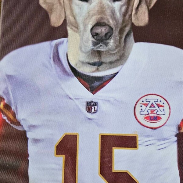 Custom American Football Dog Portrait . Kansas City Jersey Pet Portrait ...