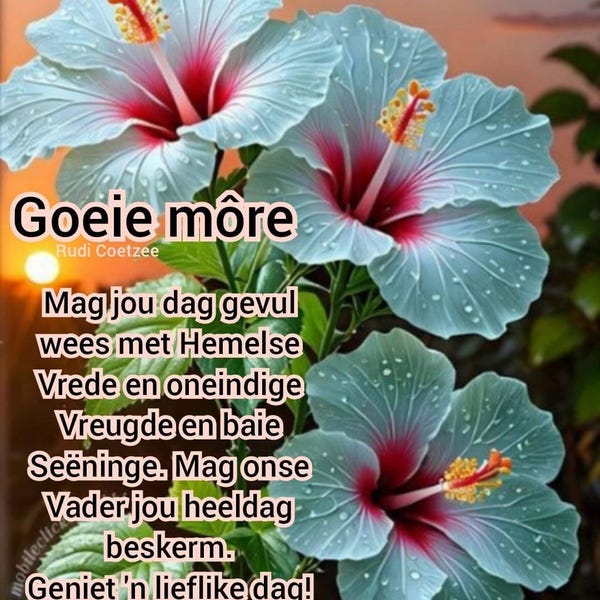 650+ Mobile App Templates & Applications Bundle | Android, Ios | PLR ...