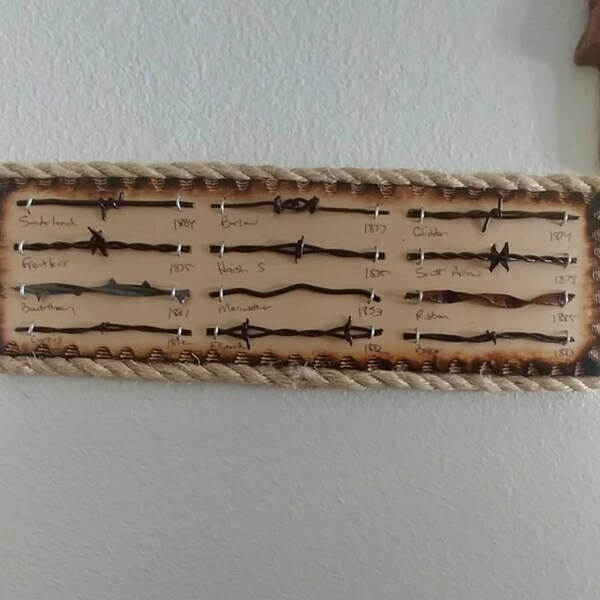 Large Antique Barbed Wire Display TEXAS 31 Cuts of Authentic Barbwire ...