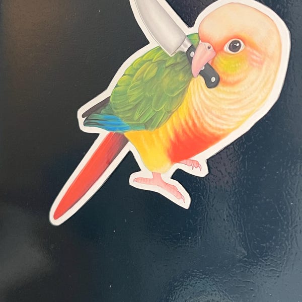 Conure Stickers / Cute Conures / GCC Green Cheek / Green Cheek Conure ...