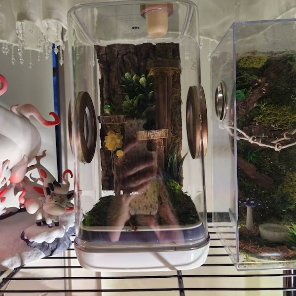 Jumping Spider Enclosure 5x5x9 Spider House, Spider Tank, Spider ...