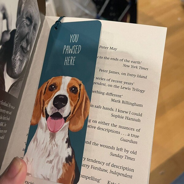 Boxer Dog Card, Fun Boxer Card, Boxer Card, Boxer Dog, From the Dog ...