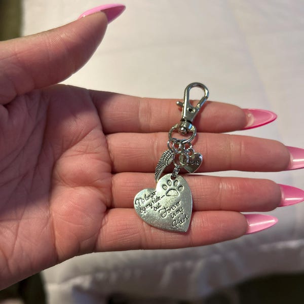 Sea Turtle, Nautical, Seashells, Starfish, Sand Dollar, Key Chain ...