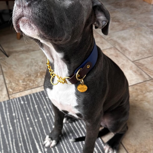 Two Tone Tapered Martingale Biothane Dog Collar, 1"-1.5" Inch Wide ...