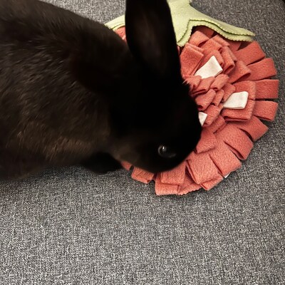 Blue Flower Snuffle Mat for Rabbits, Guinea Pigs, Dogs and Other Pets ...