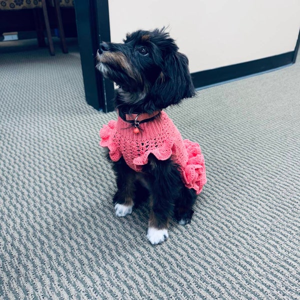 The ORIGINAL BEE POP Memory Game Pop It Crochet Pattern, Crochet Bee ...