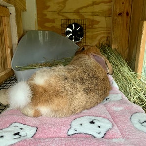 Rabbit Bunny Bed Mat | Etsy