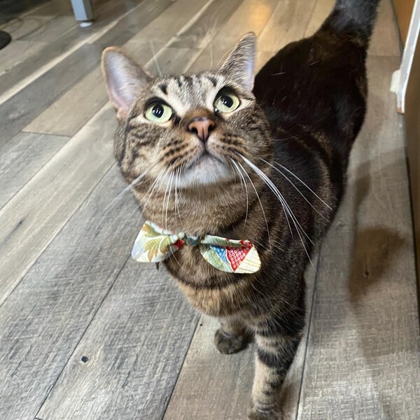 Cat Collars THISTLE Handmade Breakaway Soft Cat Collar - Etsy