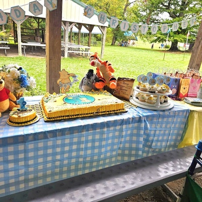 Aurora Banner Disney Princesses Theme Party Sleeping - Etsy