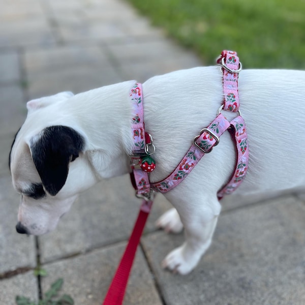 UGLY Bells for Pet Collar Chipped Jingle Bell for Cat Collar Character ...