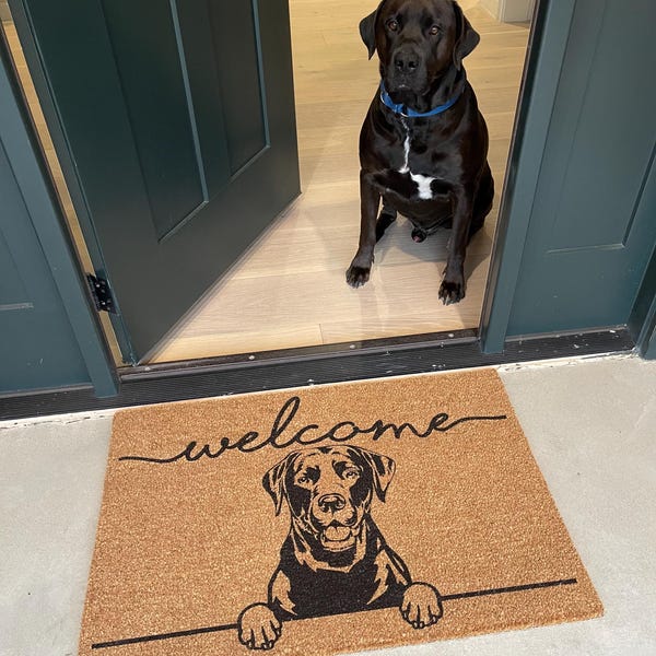 Arrivals Departures, Departures Arrivals Door Mat, Airplane, Flight ...