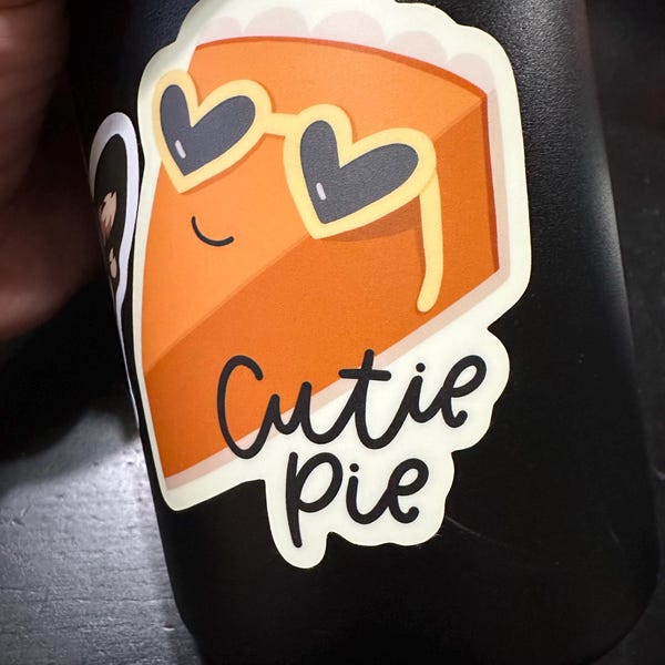 Going at My Own Pace Turtle Sticker Cute Decal for Laptop and Water ...