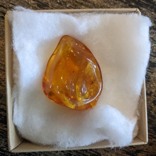 Sale 21 Pieces Polished Amber Gemstones / Natural Baltic Amber Tumbled ...