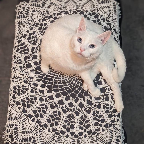 Lace Crochet Doily Pattern #110 - Round Doily Table Center - Home Decor ...