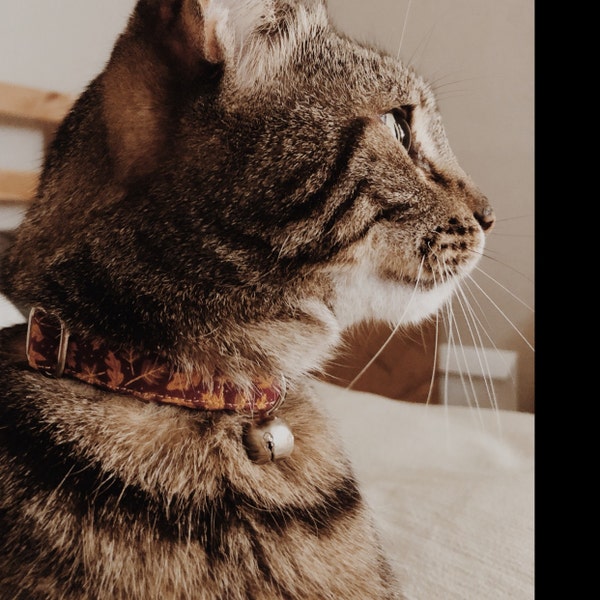Autumn Cat Collar- Fall Cat Collar- Holiday Cat Collar- Leaves Cat ...